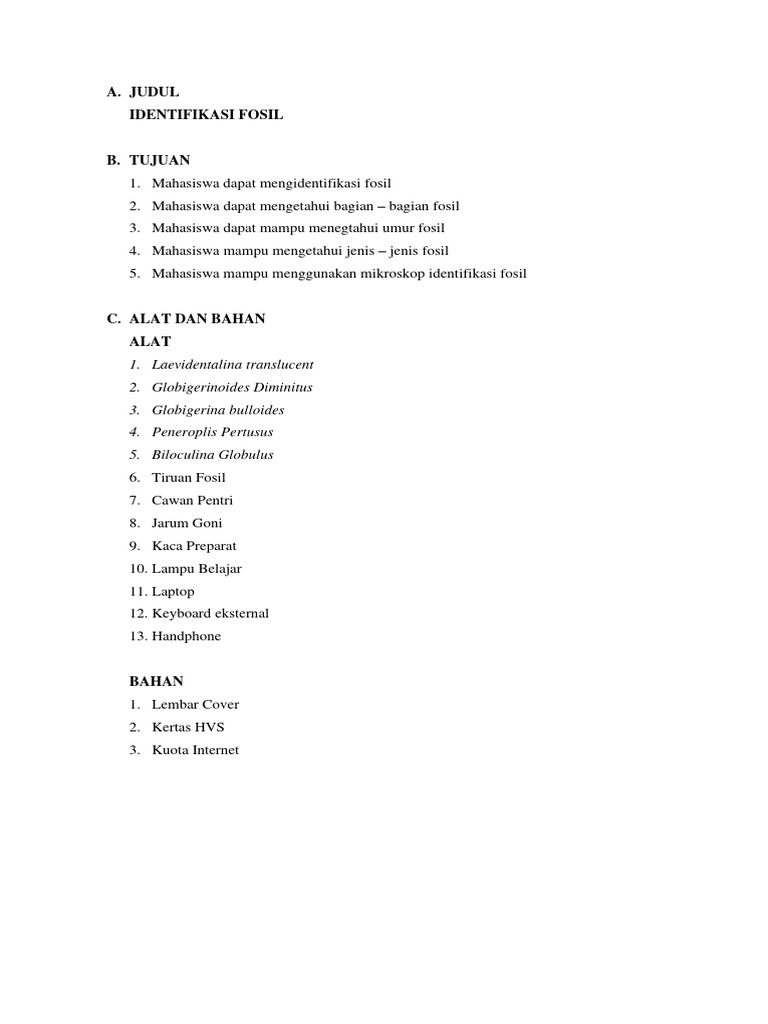 Laporan Praktikum Geologi Dasar Pertemuan 10 | PDF