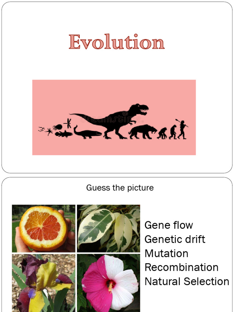 Mechanism of Evolution - Lecture Notes - 2023 2024 | PDF | Genetics ...