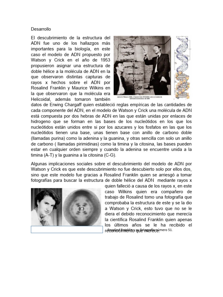 Modelo de Watson y Crick | PDF | Adn | Francis Crick