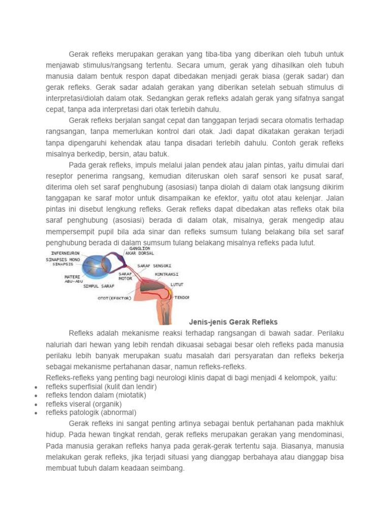 Pengertian dan Contoh Gerak Refleks | PDF | Sains & Matematika