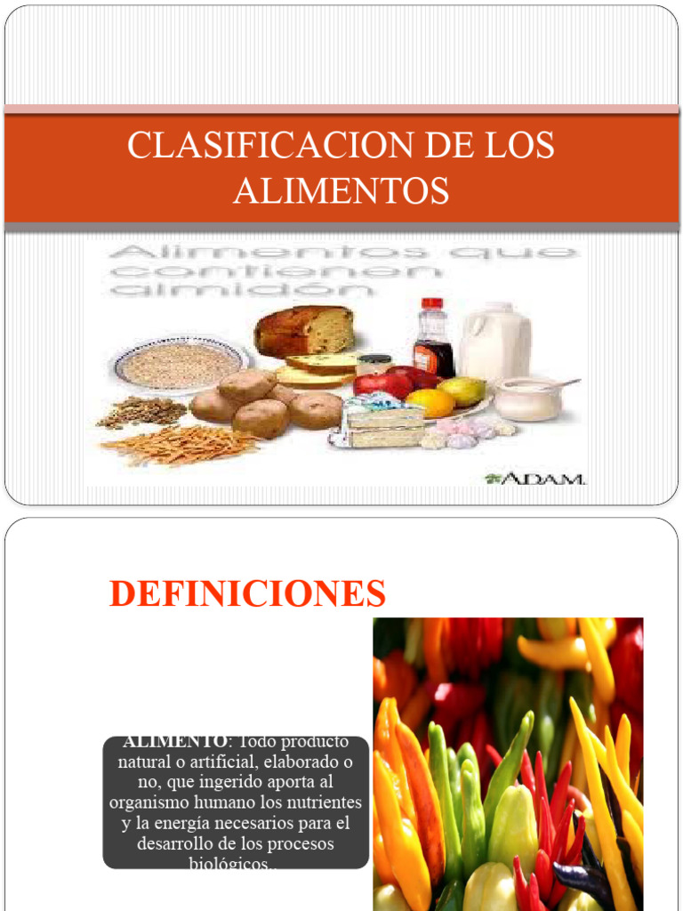 Clasificacion de Los Alimentos | PDF | Alimentos