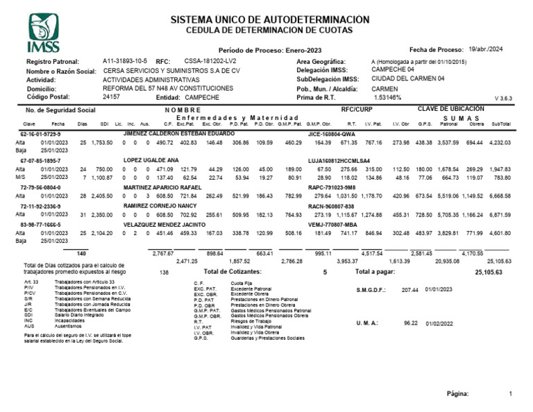 Cedula Enero (Determinacion de Cuotas) | PDF