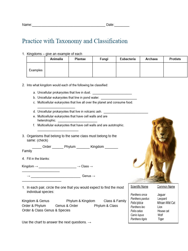 Hierarchy of Taxonomy Worksheet | PDF