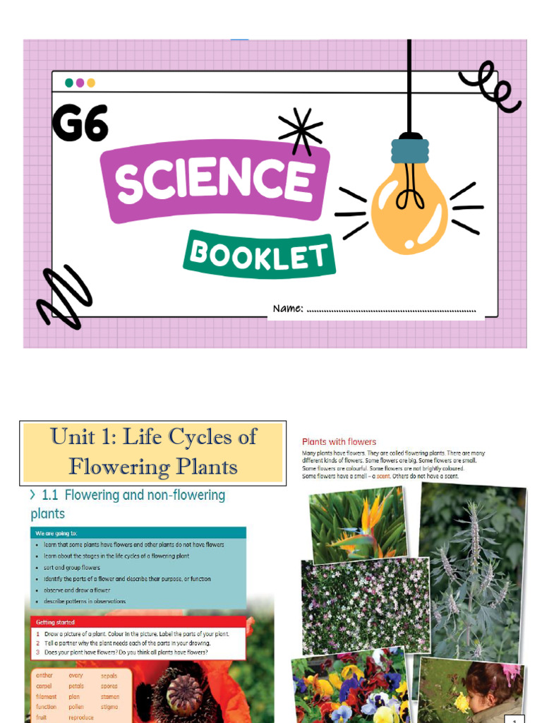 Science Booklet | PDF