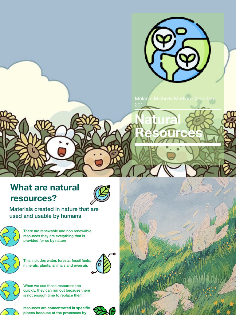Understanding Natural Resources: Types & Impact | PDF | Renewable ...