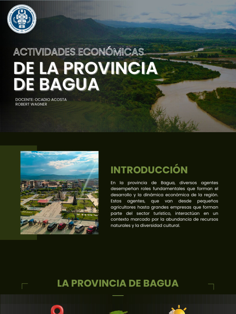 Principales Actividades Económicas de La Provincia de Bagua | PDF ...