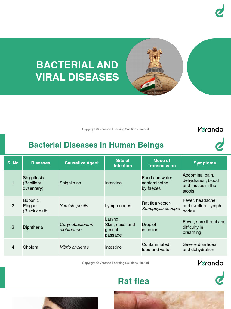 BACTERIAL AND VIRAL DISEASES | PDF | Virus | Infection