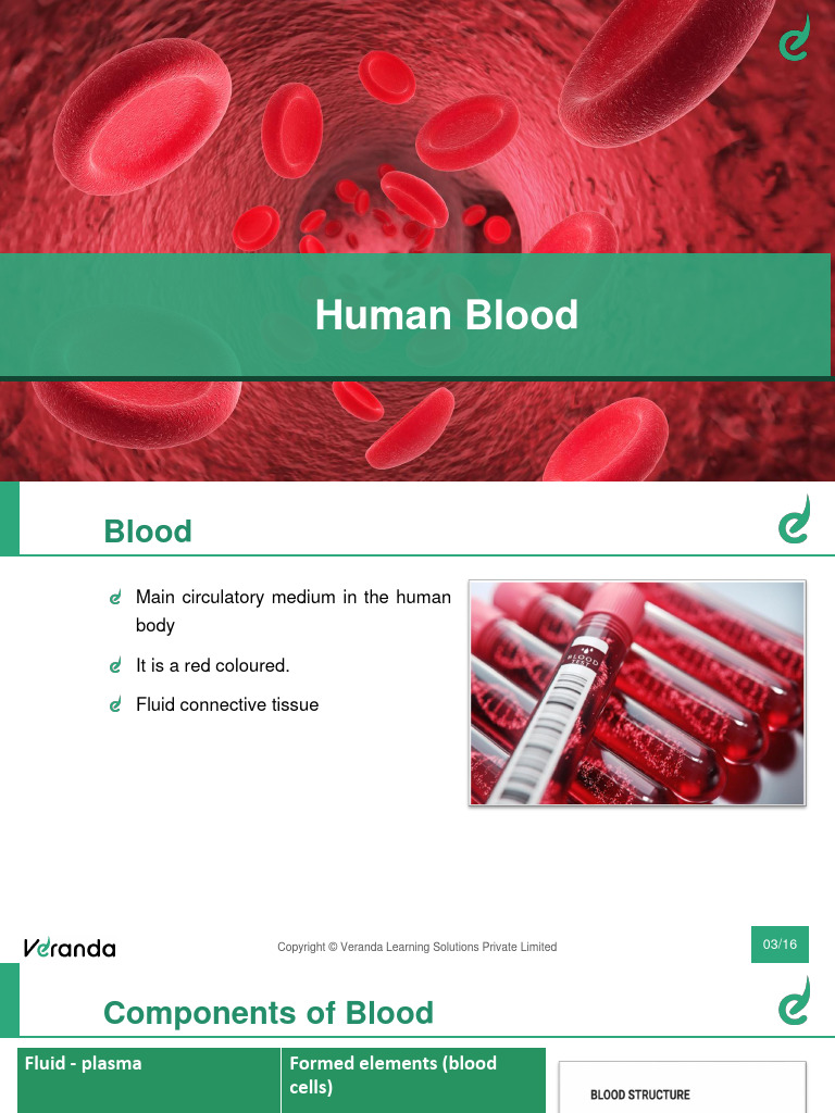 blood and its functions | PDF | White Blood Cell | Blood Cell