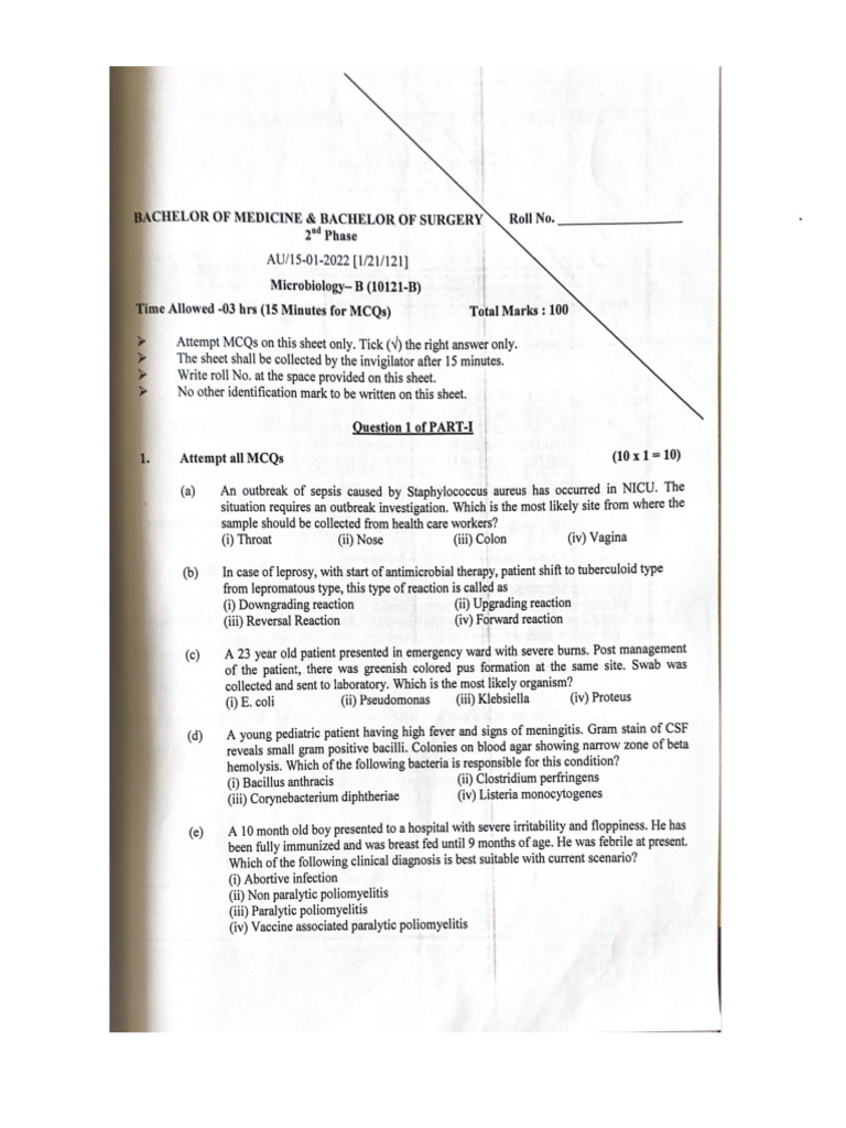 Micro Paper Bs 2 | PDF