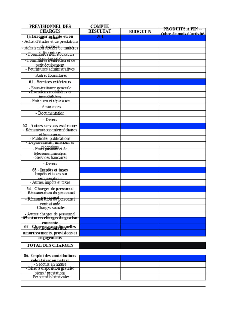 Modèle de budget prévisionnel N+1 | PDF | Impôts | Bénévolat