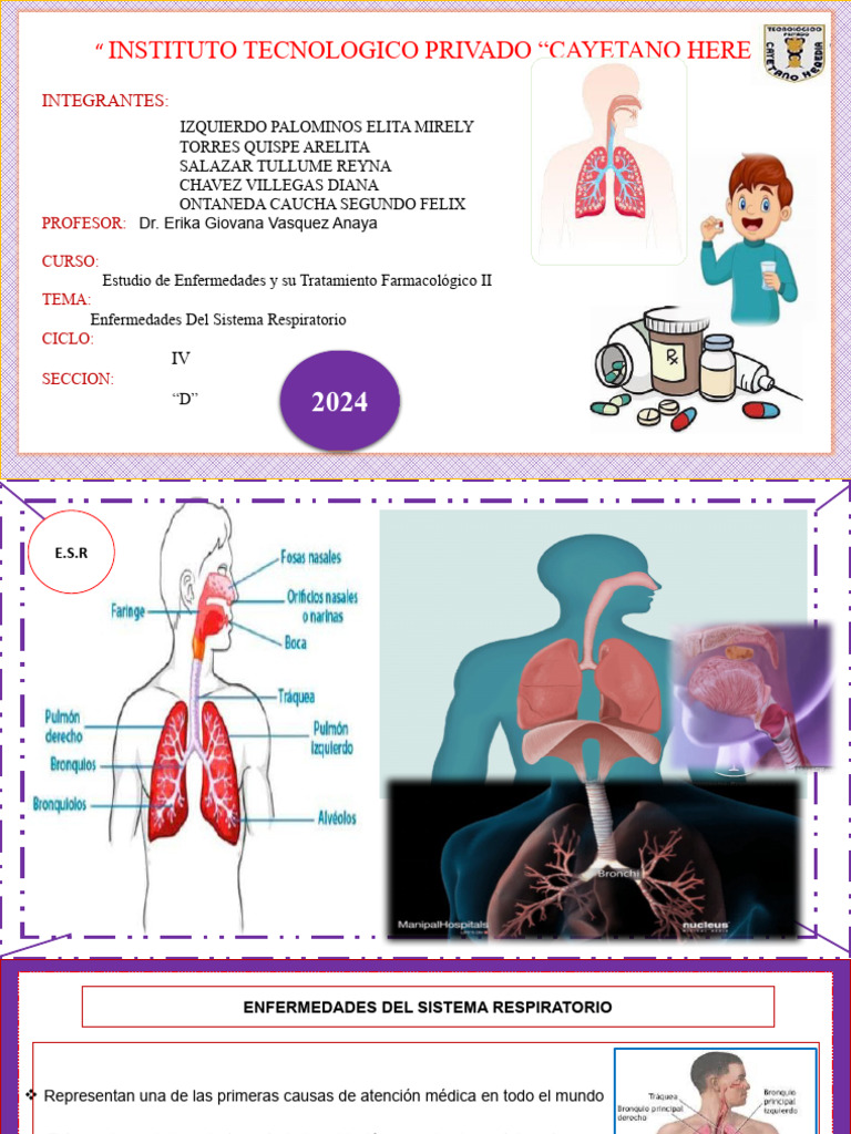 Enfermedades Resp, 1 | PDF | Asma | Tuberculosis