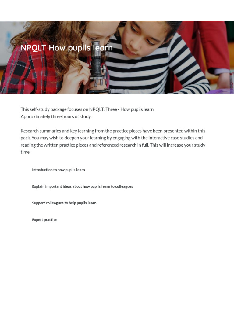 NPQLT How Pupils Learn | PDF | Memory | Learning