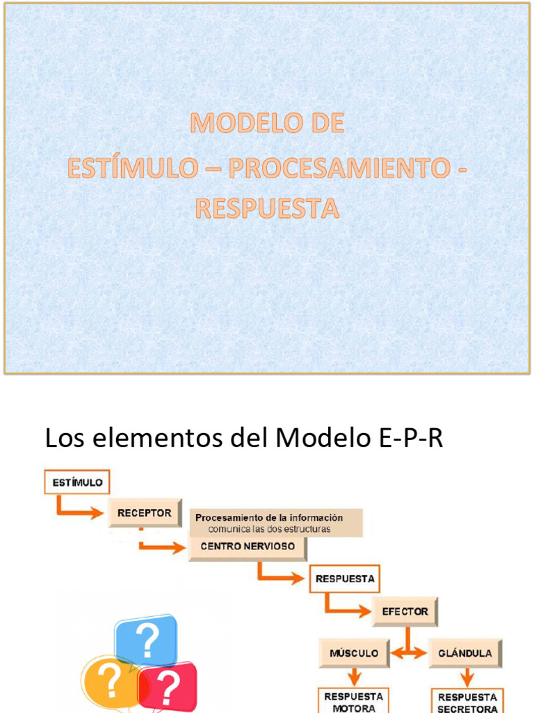 Modelo E - P - R | PDF