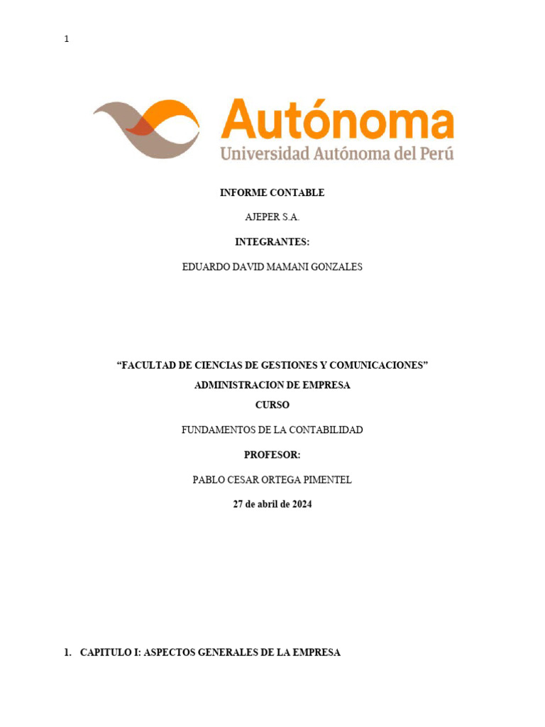 Informe Contable | PDF