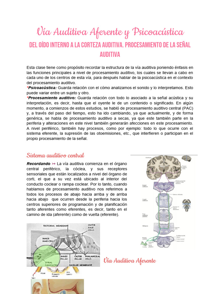 Clase 9 - Vía Auditiva Aferente y Psicoacústica | PDF | Sistema Auditorio | Sonido