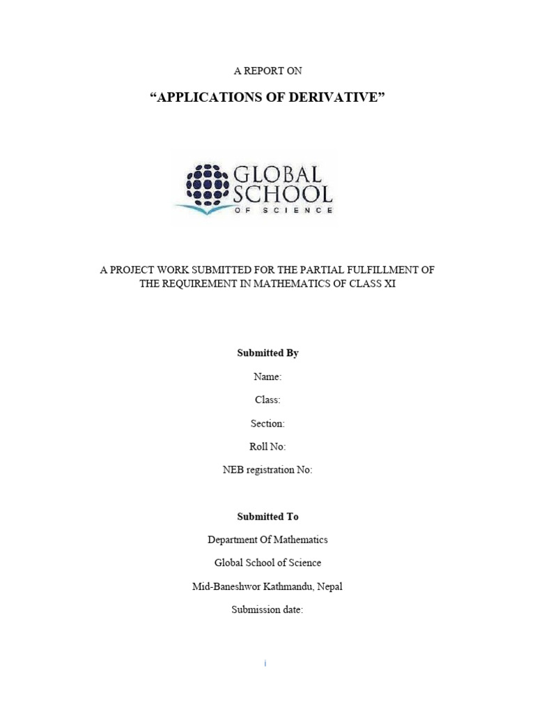 A REPORT For Class 11 | PDF | Derivative | Calculus