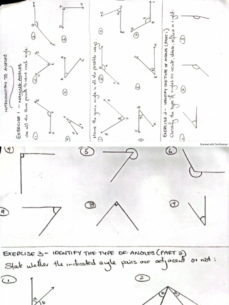 Angles Exercises | PDF