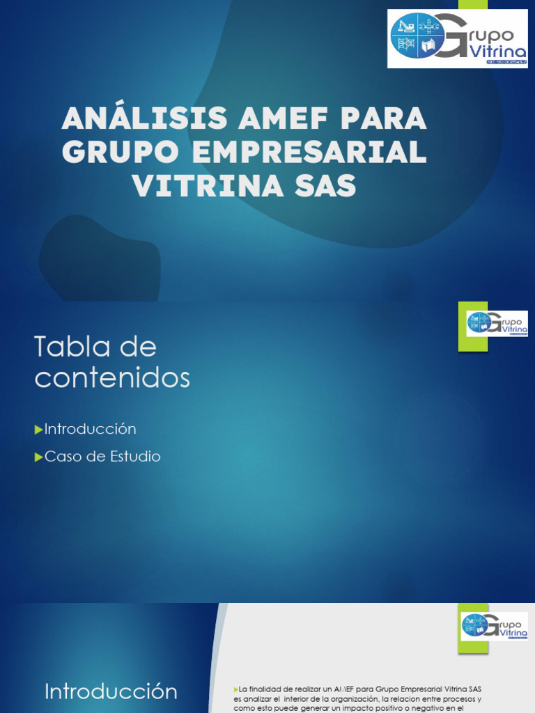 AMEF en Vitrina SAS: Mejora y Control | PDF | Diseño | Business