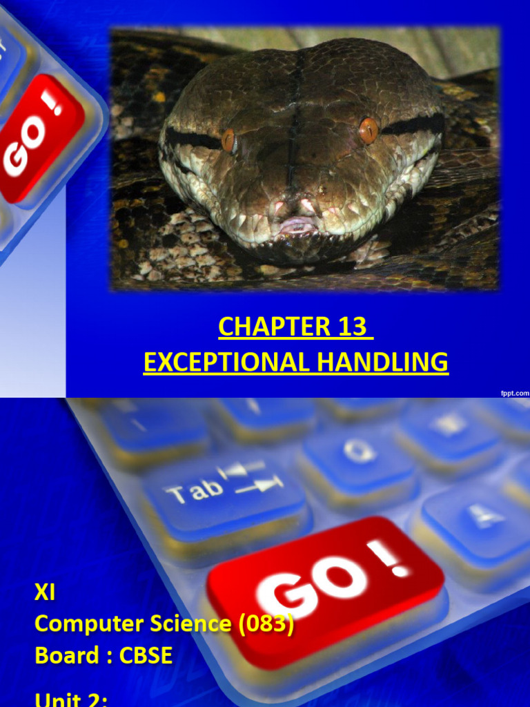 Chapter 13 Exceptional Handling Pdf Computer Program Programming