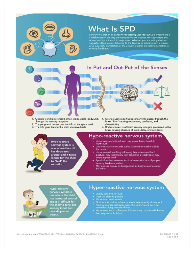 Flyer What Is Sensory Processing Disorder | PDF
