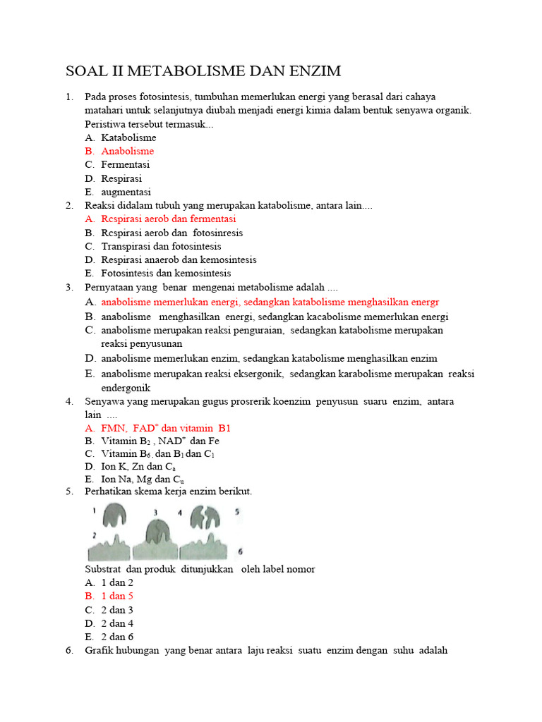 Soal Ii Metabolisme Dan Enzim | PDF