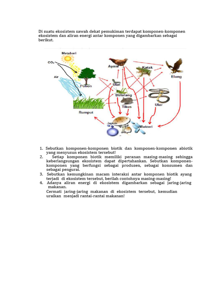 Di Suatu Ekosistem Sawah Dekat Pemukiman Terdapat Komponen | PDF