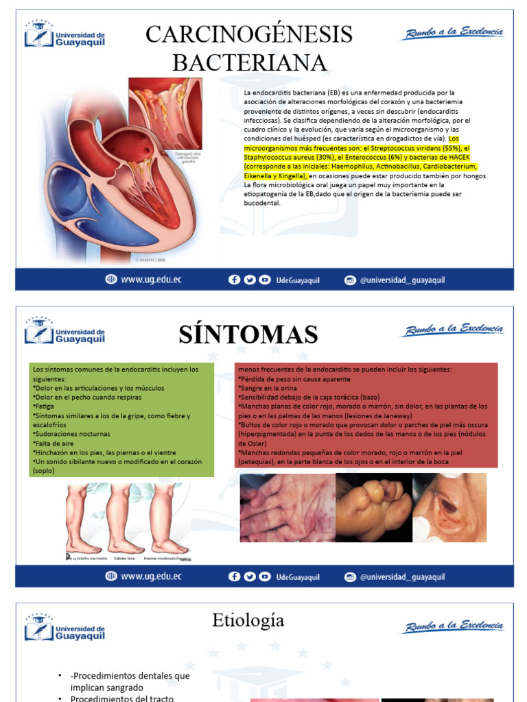 Onco 1 | PDF | Medicina | Causas de la muerte