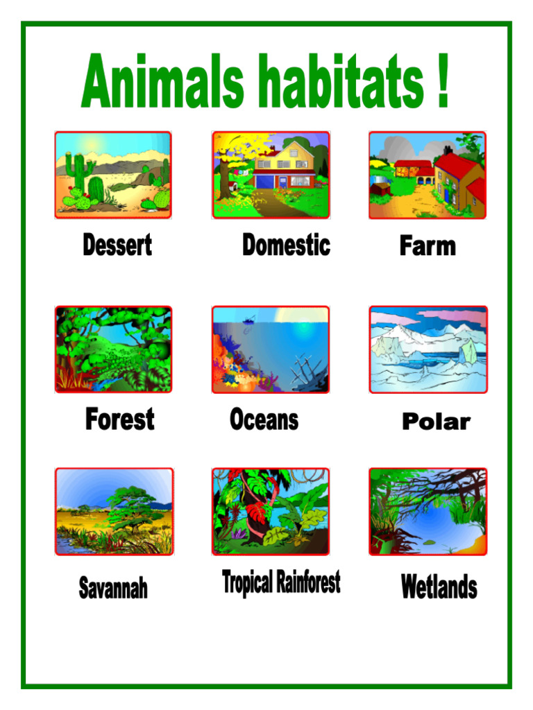 Animal Habitats For Kids | PDF