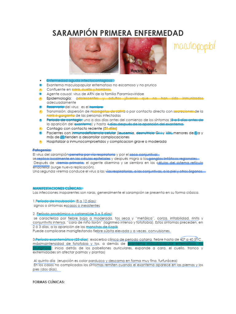 Sarampión | PDF | Sarampión | Enfermedades y trastornos