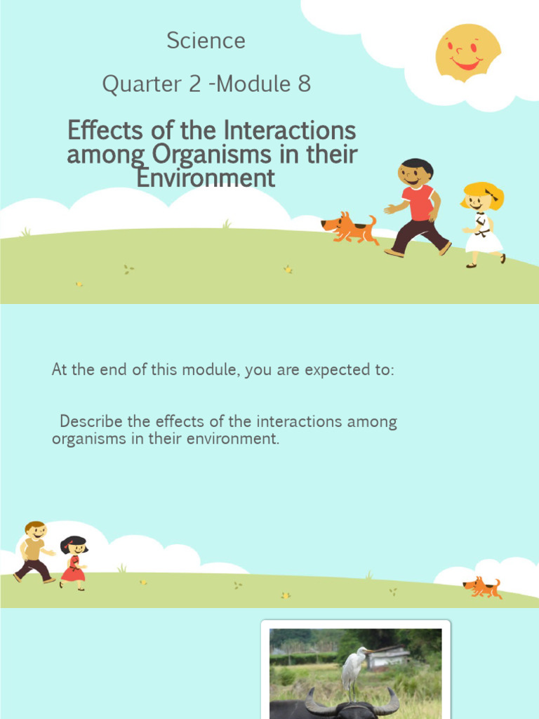 Quarter 2 - Week 7 - Lesson 8 | Download Free PDF | Foods | Herbivore