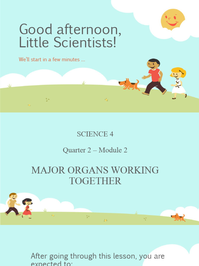 Quarter 2 - Week 2 - Lesson 2 | PDF | Stomach | Digestion