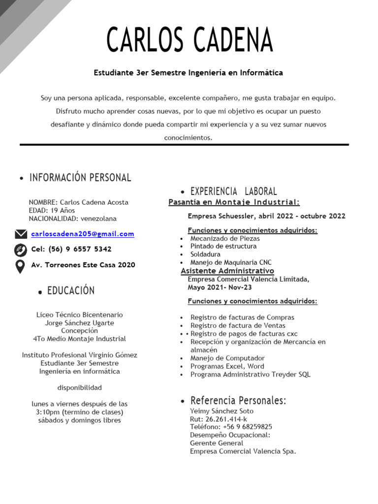 Currículum Carlos 2 | PDF | Informática | Ingeniería