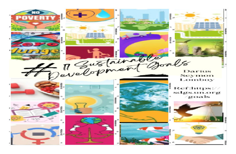 17 Sustainable Development Goals | PDF