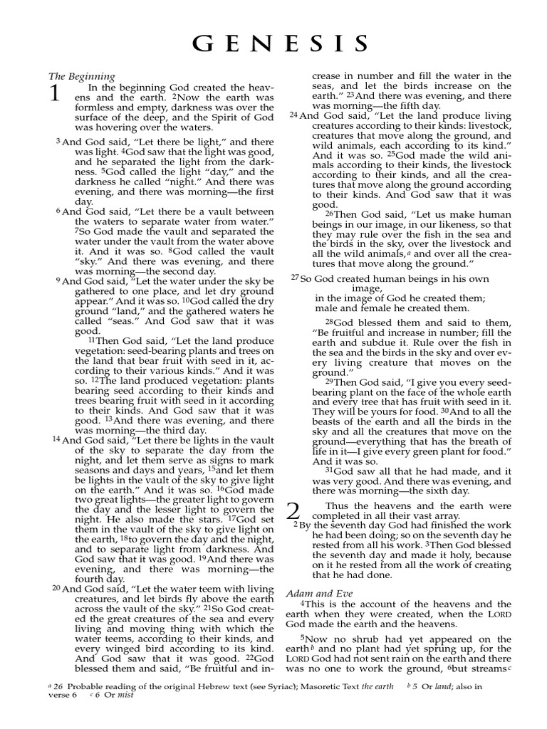 Todays New International Version | PDF | Noah | Noah's Ark