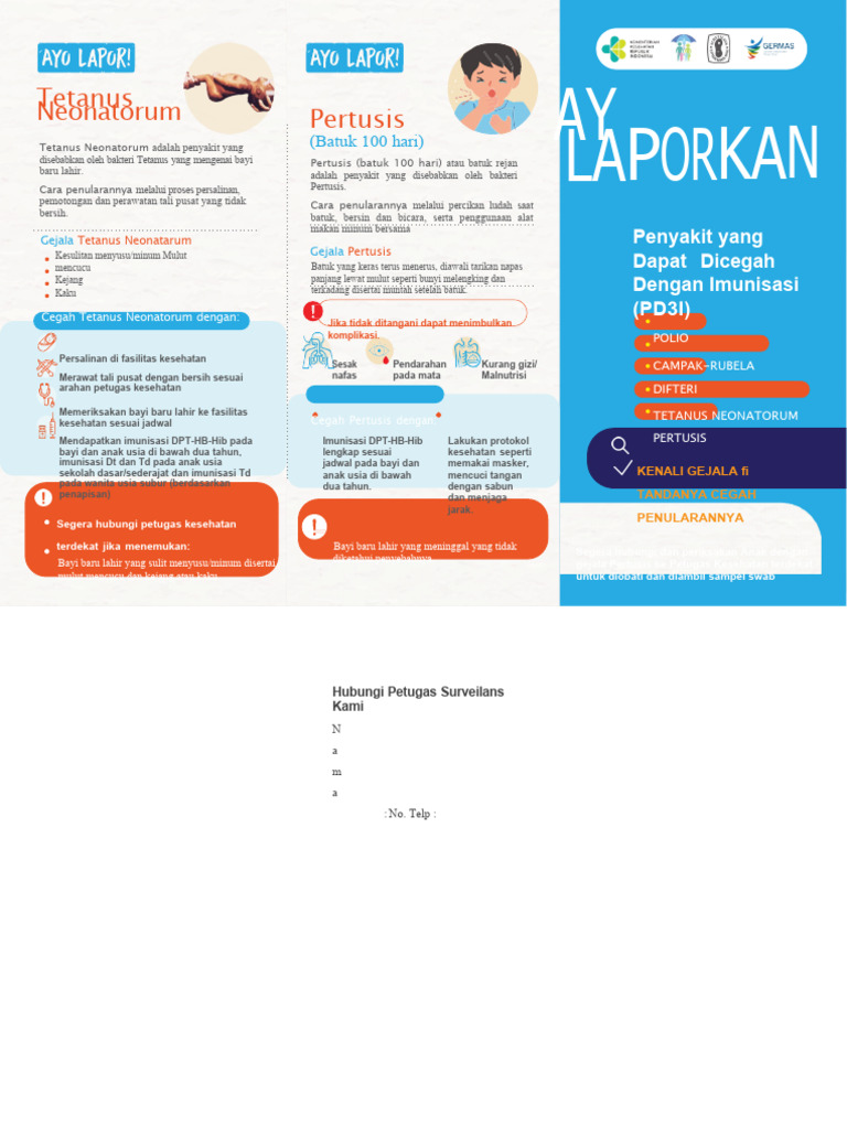 Leaflet PD3I 1 | PDF