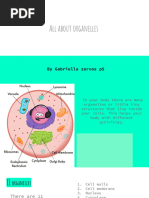 Cell Rap Lyrics | PDF | Cell (Biology) | Cytoplasm
