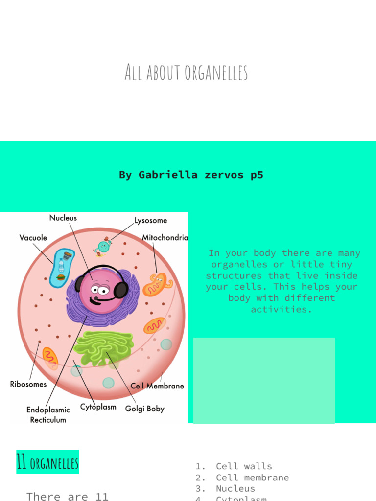 Children Book | PDF | Cytoplasm | Cell (Biology)