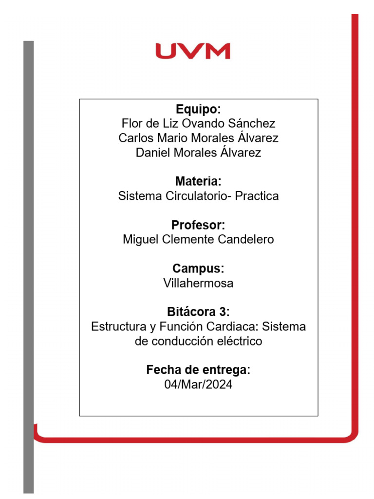 Bitacora 3 SC | PDF | Corazón | Tórax (anatomía humana)