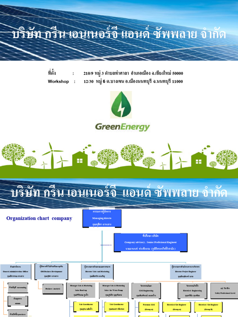 Green Energy Company Profile | PDF