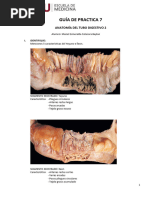 Signo de Murphy | PDF | Vesícula biliar | Gastroenterología