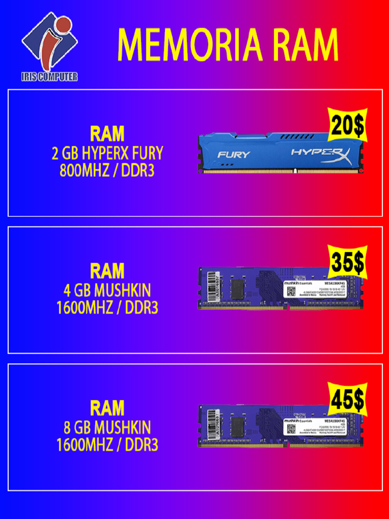 Ram - Iris Computer | PDF