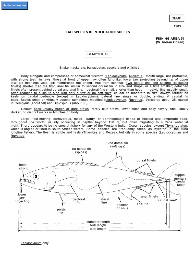 Fao Species Identification Sheets Fishing Area 51 (W. Indian Ocean ...