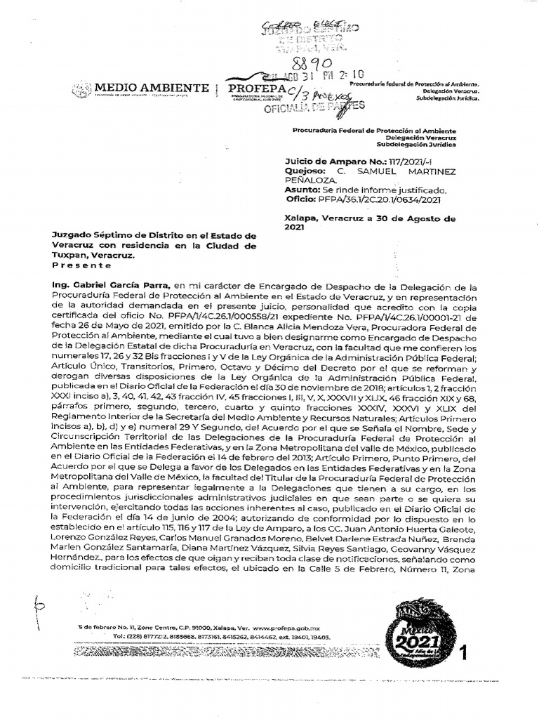 Informe Justificado Profepa 2 | PDF