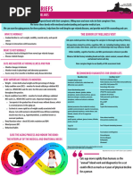 Cat FAS and Frustration Scale Guide | PDF