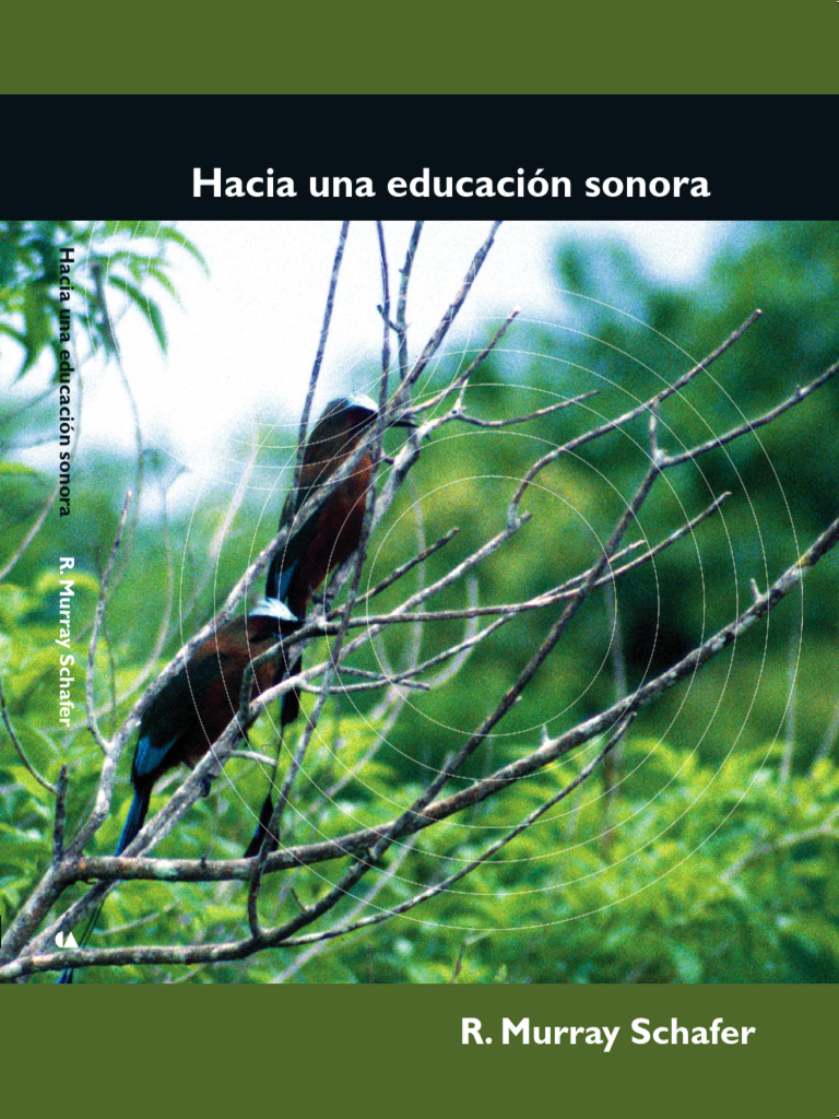 Hacia Una Educación Sonora - Murray Schafer | PDF | Sonido | Zapato