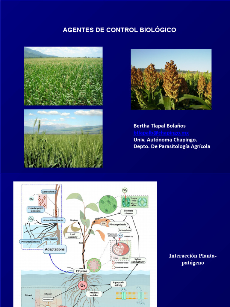 2.3.1 Agentes de Control Biologico 2023 | PDF | Control biológico de ...