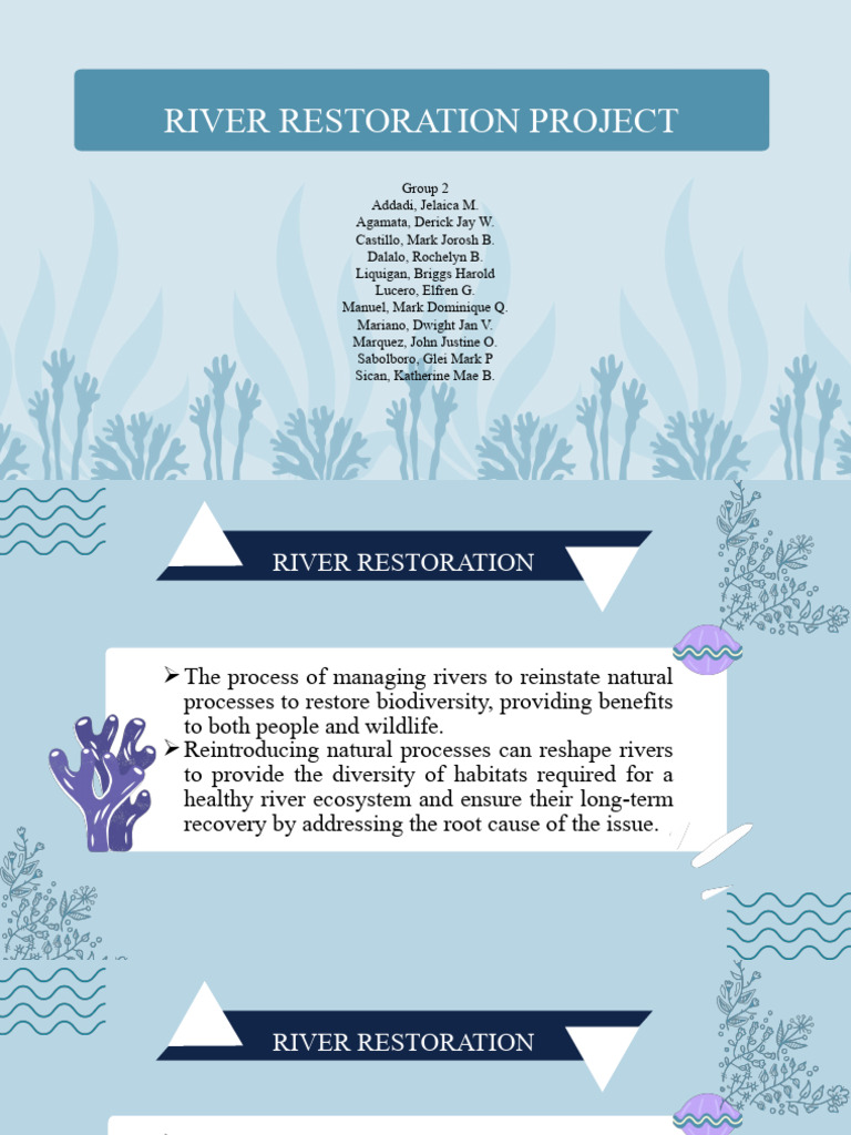 River Report | PDF | River | Floodplain