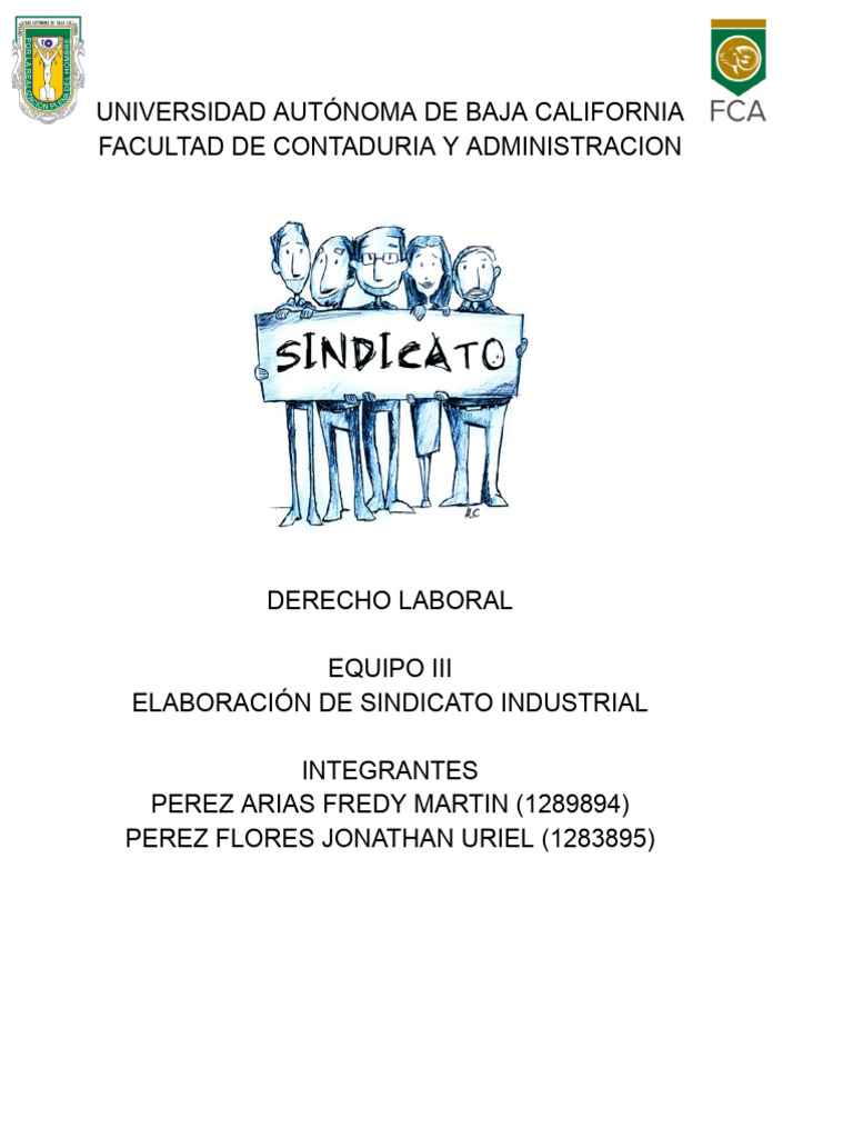 Sindicato Industrial | PDF | Sindicato | Derecho laboral