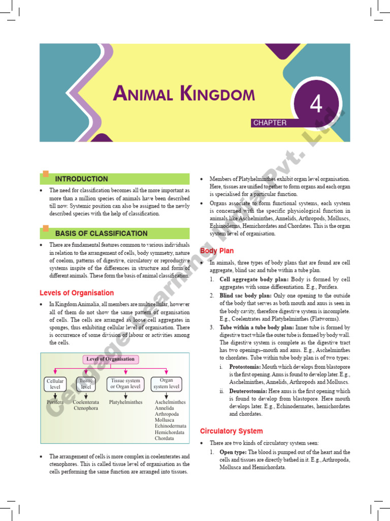 NEET Gold Biology Animal Kingdom | Download Free PDF | Sponge | Zoology