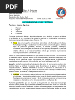 Ficha Técnica Del Pasto Imperial (Axonopus Scoparius, Hitchc) | PDF ...